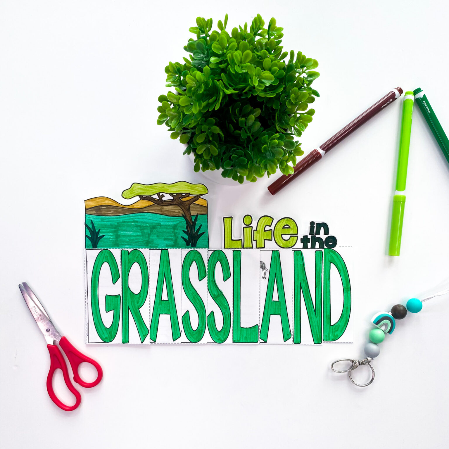 Animals, Biomes, and HOLIDAYS..OH MY! - Simply Skilled Teaching