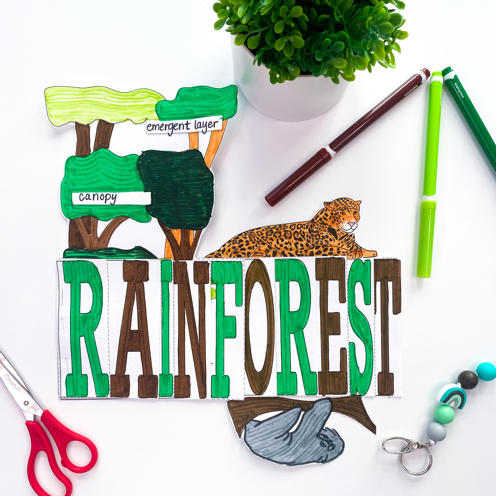 Animals, Biomes, and HOLIDAYS..OH MY! - Simply Skilled Teaching