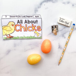 Hatching Chicks... Peep... Peep!!! - Simply Skilled Teaching