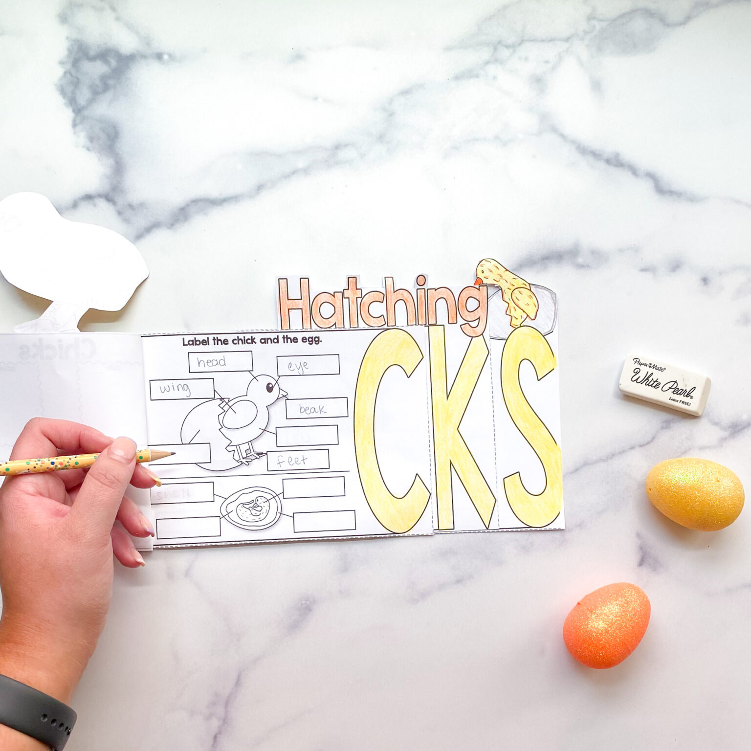 Hatching Chicks... Peep... Peep!!! - Simply Skilled Teaching